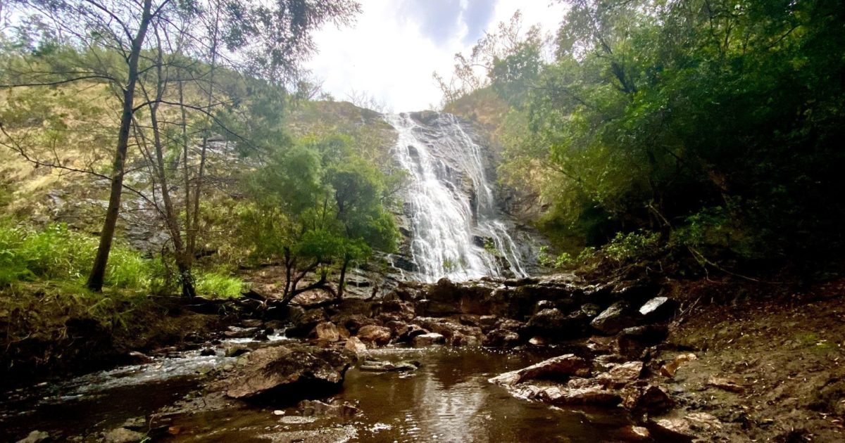 Basin Creek Falls Walk | Visit Gippsland