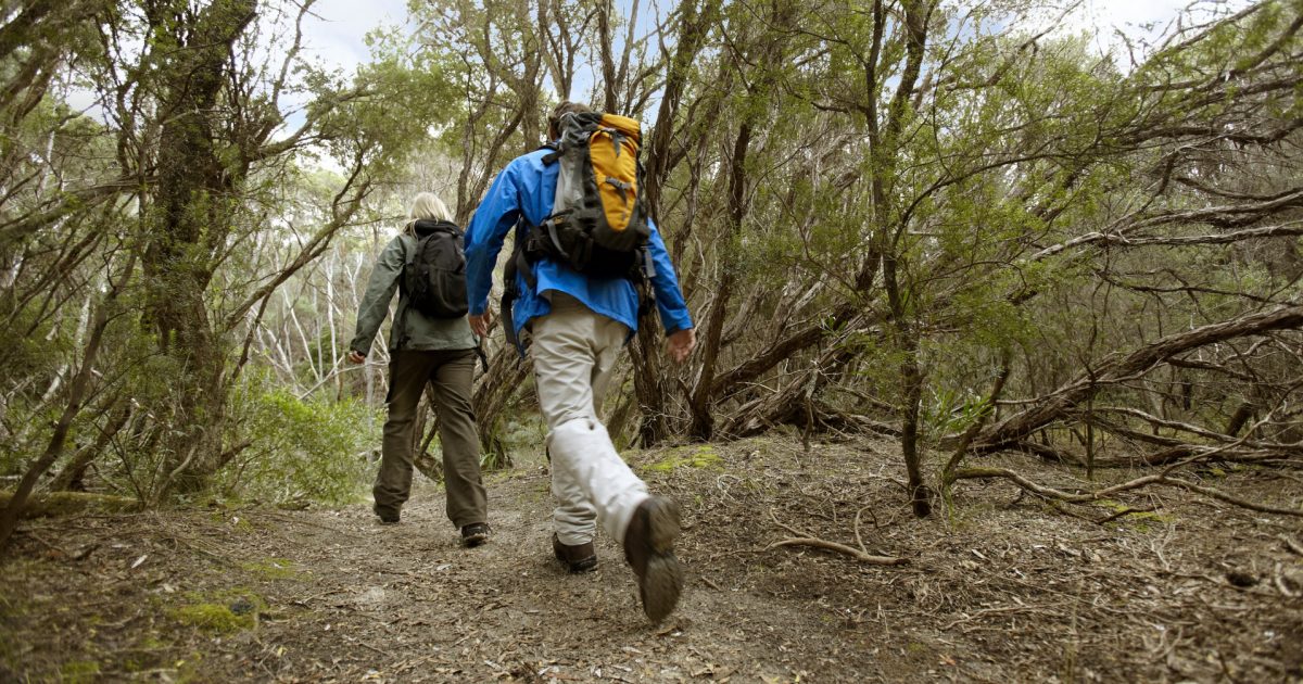 Genoa Peak Walk | Visit Gippsland
