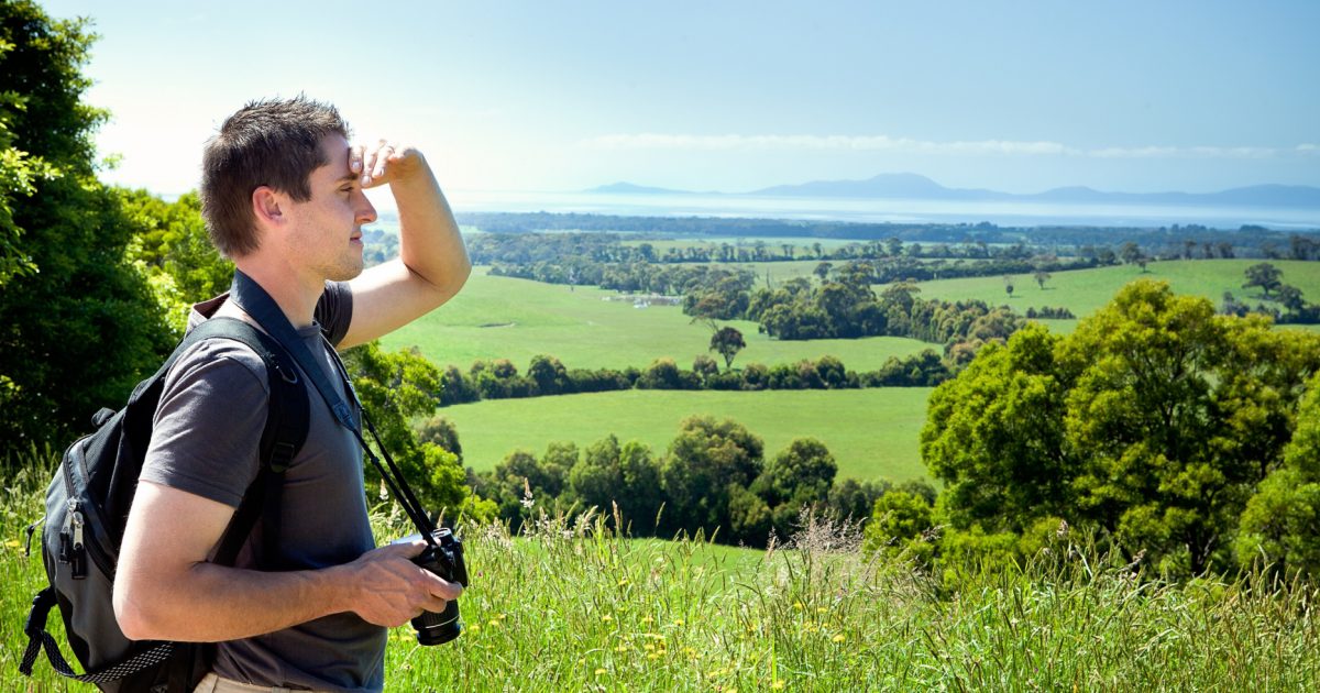 Farm Gate: Picnic Point Farm | Visit Gippsland