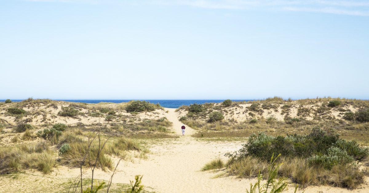 Lake Tyers Beach Travel Guide: Where to Eat, Stay… | Visit Gippsland