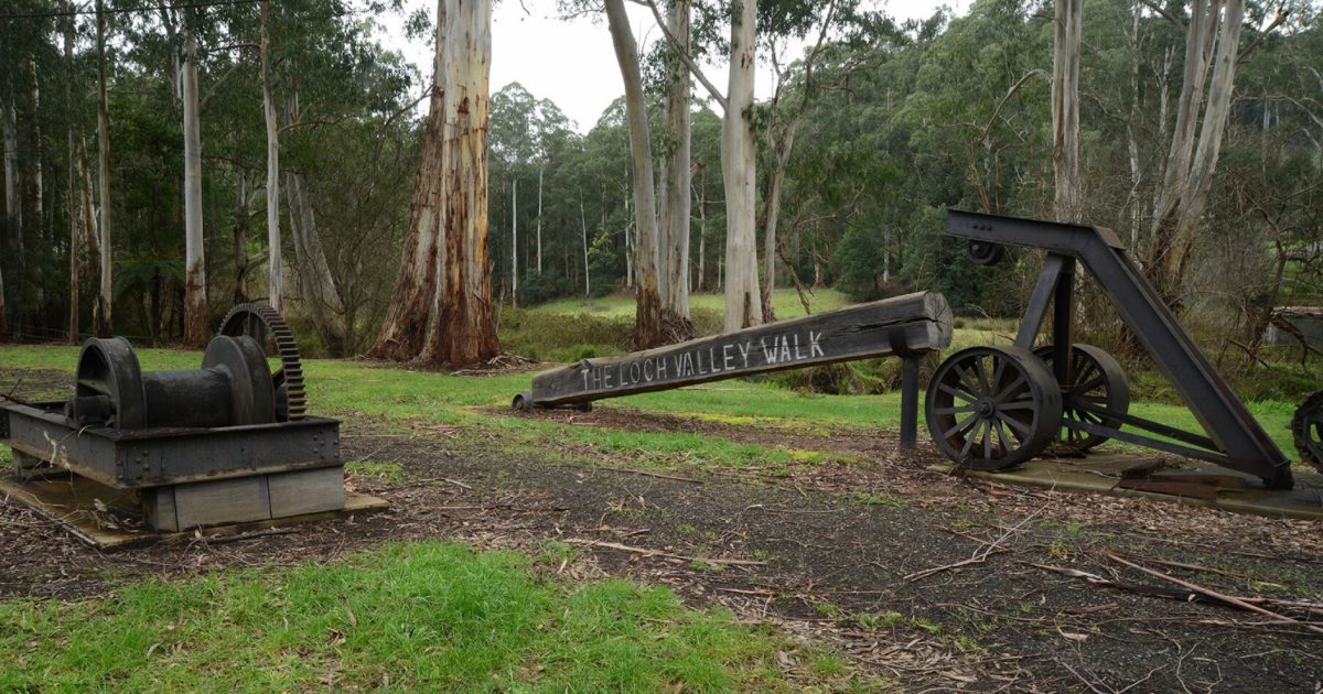 Loch Valley Tramway Walk | Visit Gippsland