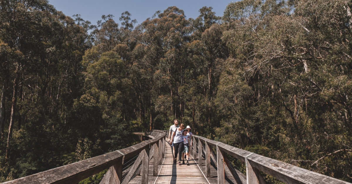 48 Hours Around Noojee | Visit Gippsland