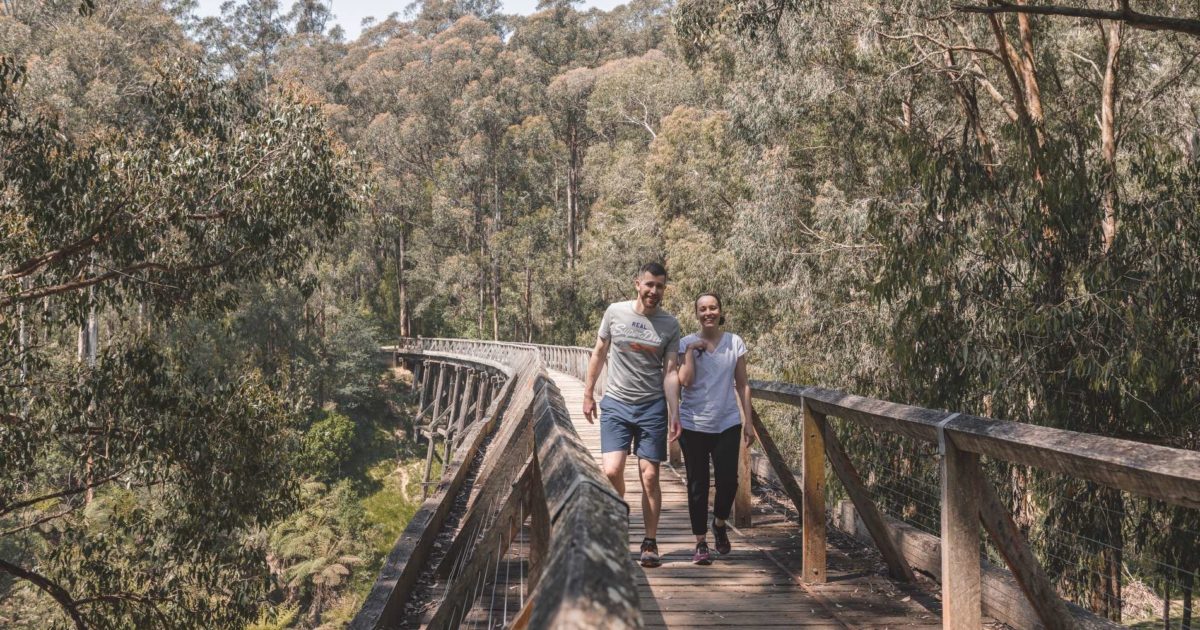 Marvel at the Noojee Trestle Bridge | Visit Gippsland