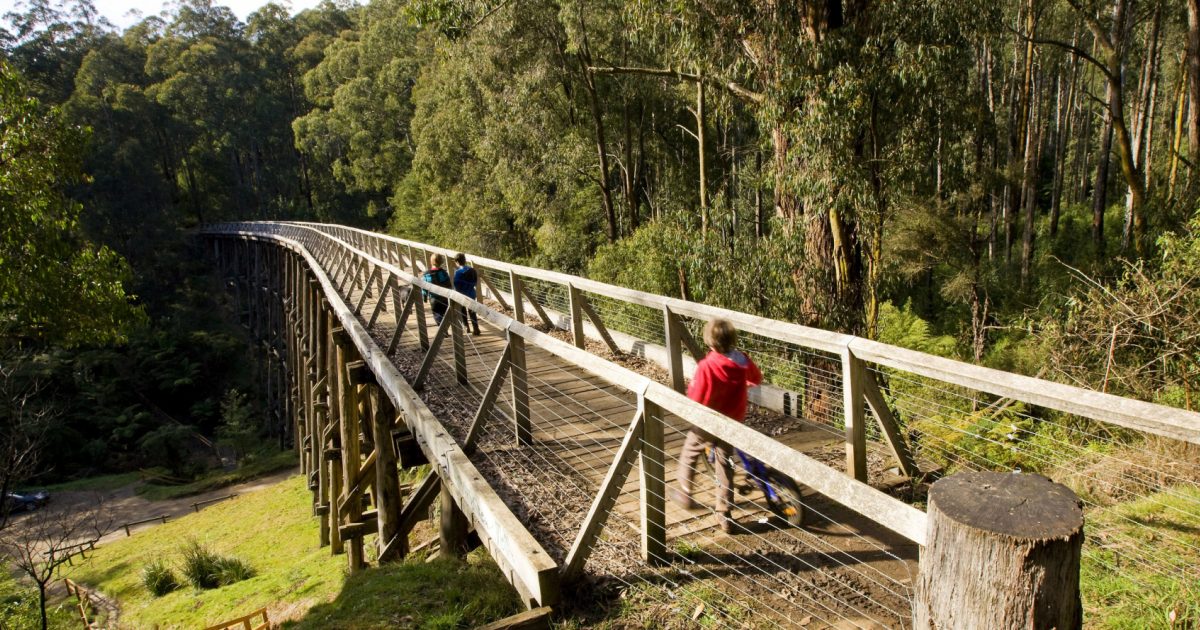 Noojee Trestle Bridge Rail Trail | Visit Gippsland