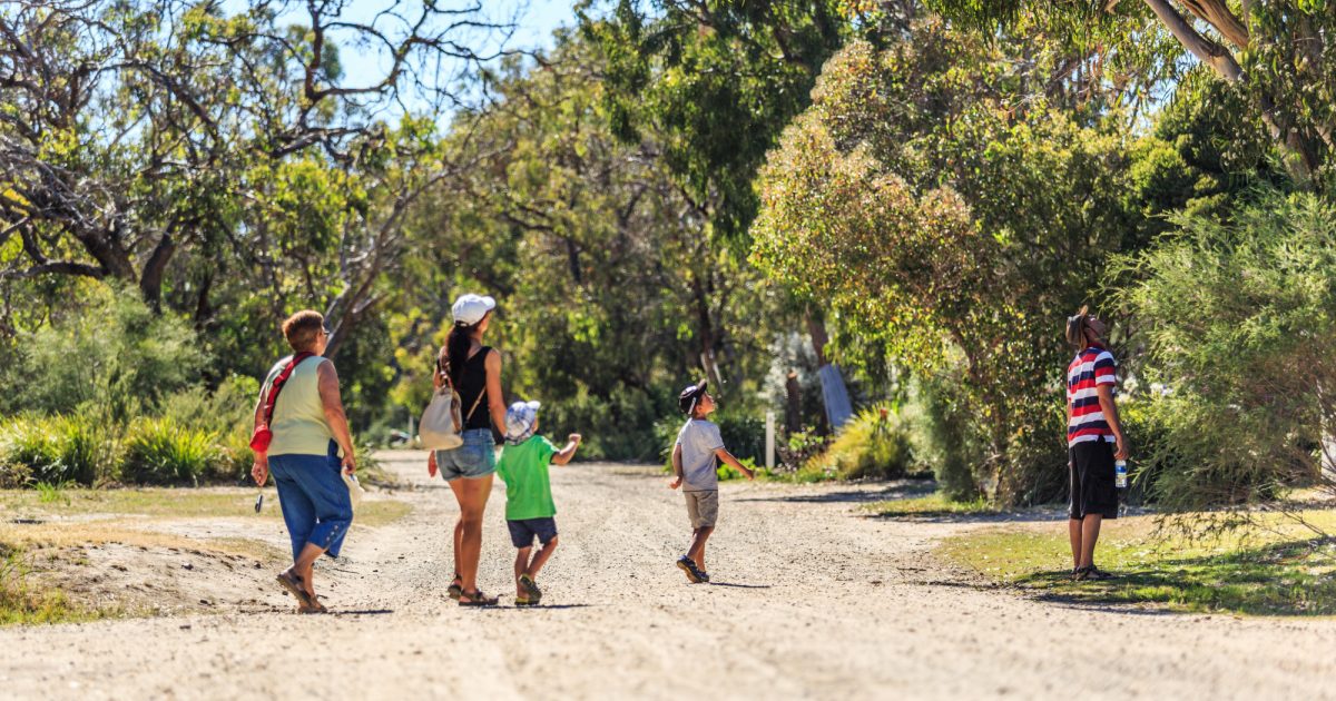 Raymond Island Travel Guide: Where to Eat, Stay and… | Visit Gippsland