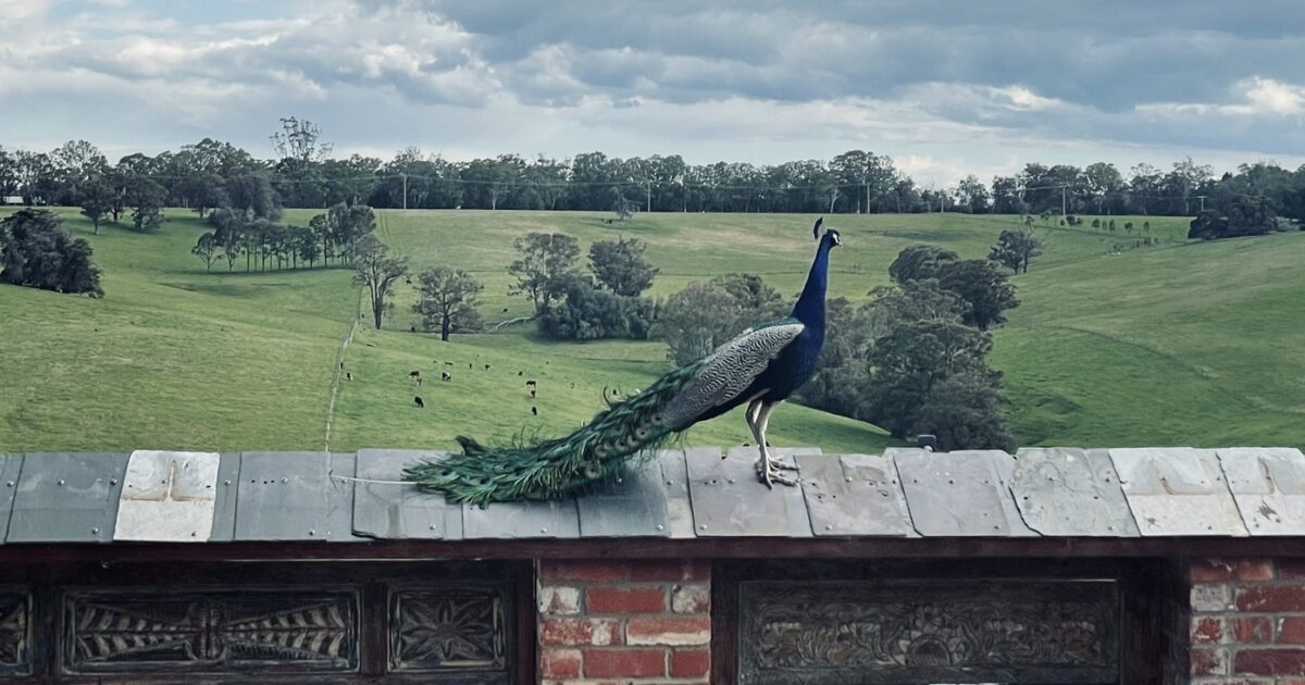 Recharge at Rivendell Farm Estate | Visit Gippsland