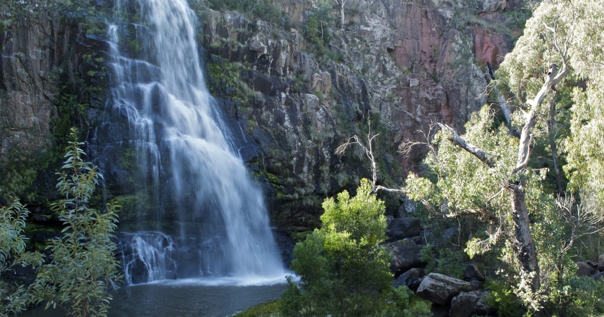 Raymond Creek Falls Walk | Visit Gippsland