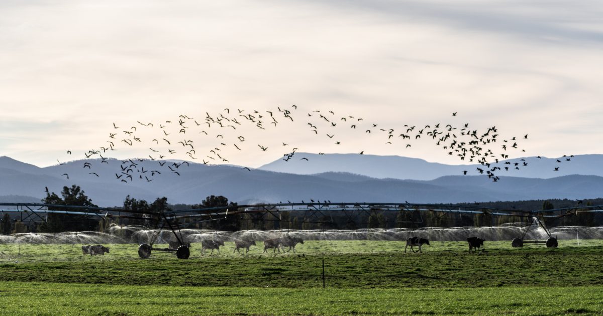 Tinamba Travel Guide: Where to Eat, Stay and Play | Visit Gippsland