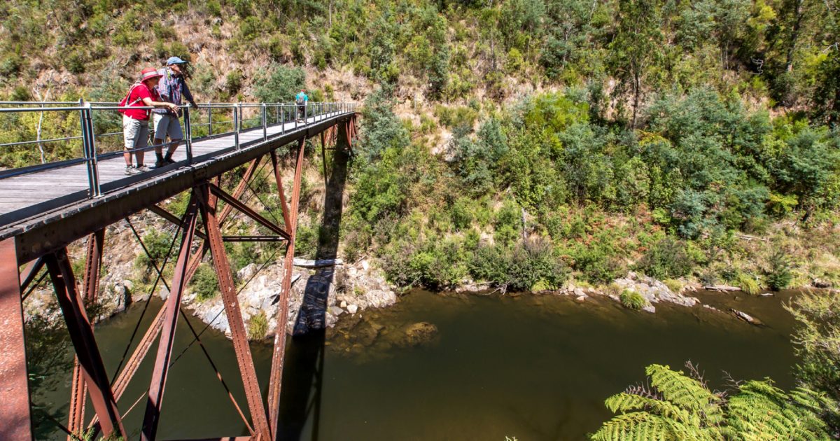 Poverty Point (Old Steel Bridge) Walk | Visit Gippsland