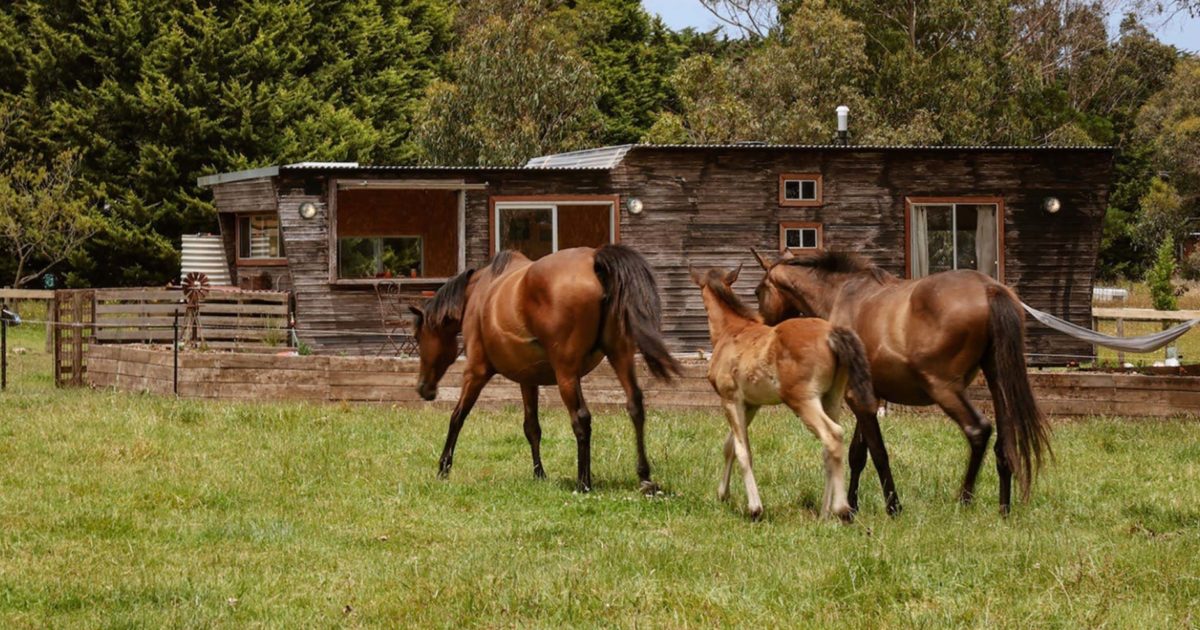 Wattle Bank Farm, a Sustainable Heaven | Visit Gippsland