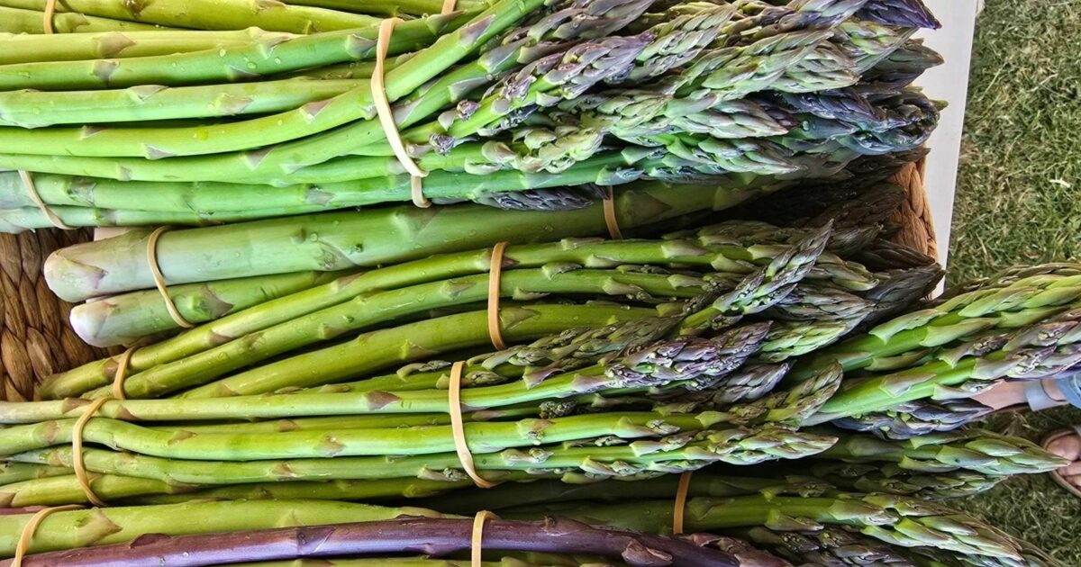 Market: Boolarra Monthly Food & Produce Swap | Visit Gippsland