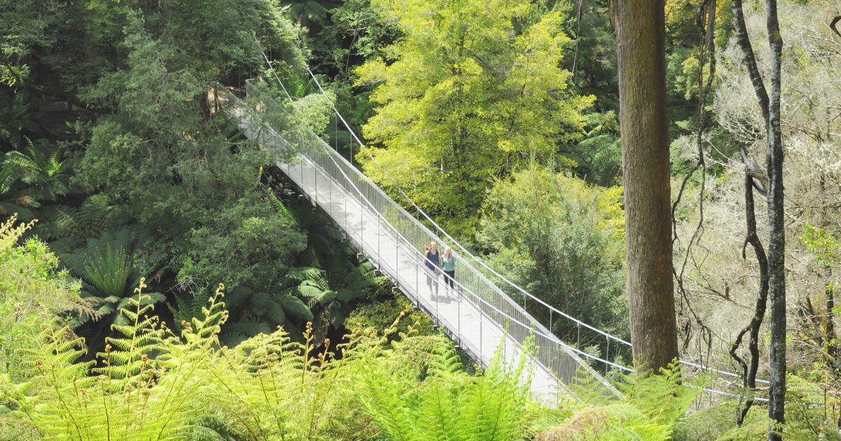 Forest & Sea Drive | Visit Gippsland