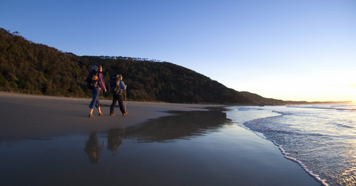 Wingan Inlet to Fly Cove Walking Track | Visit Gippsland